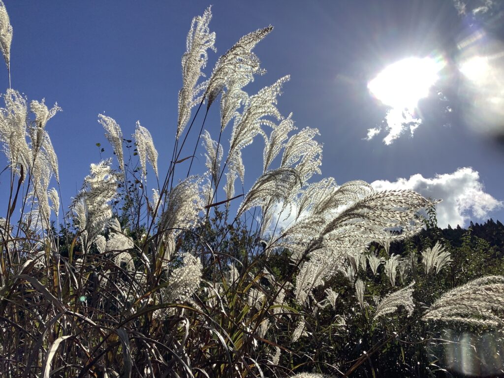 湯河原温泉旅館 源泉上野屋 公式HP【最低価格保証】 | ラウンジ完成いたしました！